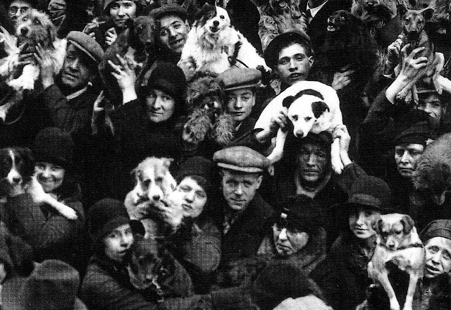 Back of the Cereal Box: A Thousand Dogs!