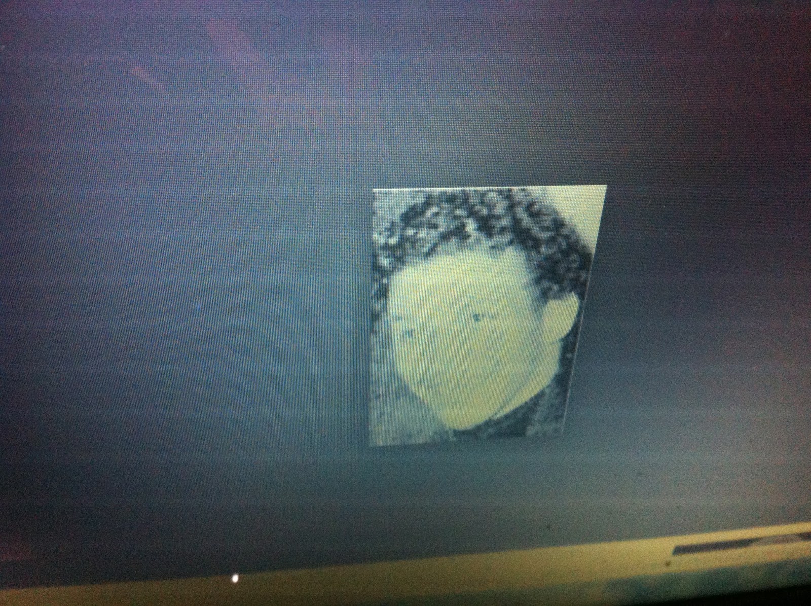 THE BLACK SOCIAL HISTORY:: BLACK SOCIAL HISTORY : AREICAN AMERICAN ...