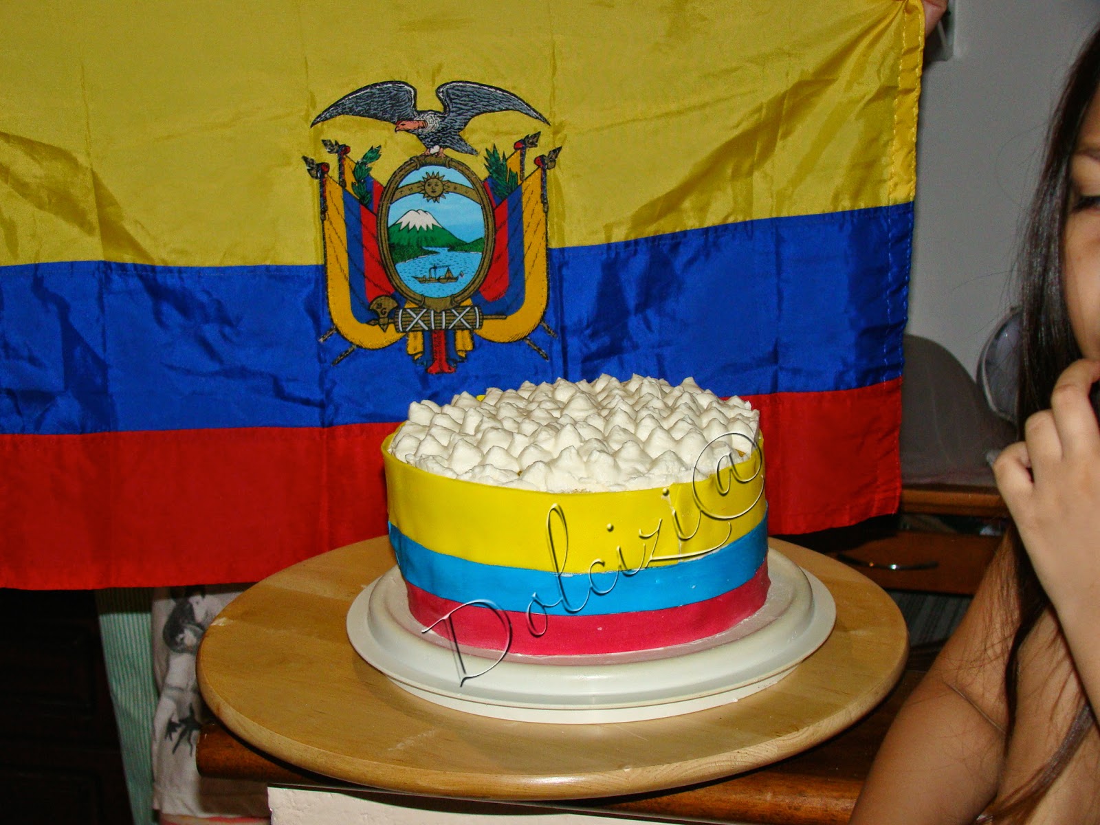 Torta bandiera dell'Ecuador da Dolcizi@ su Akkiapparicette