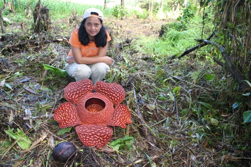 Make It Davao: Rafflesia - World's Largest Flower