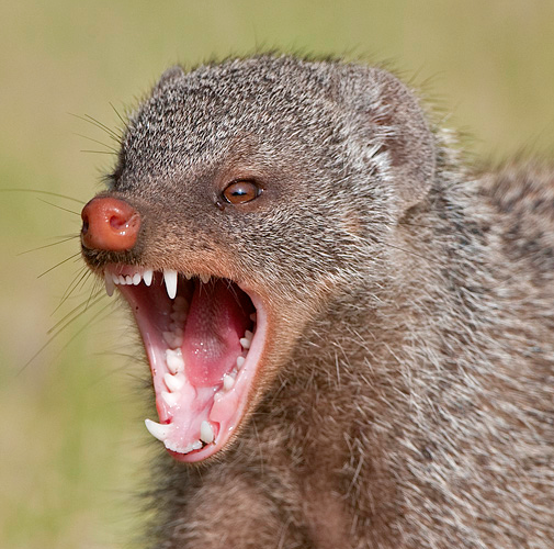 J.E. Rogers's Blog, page 6