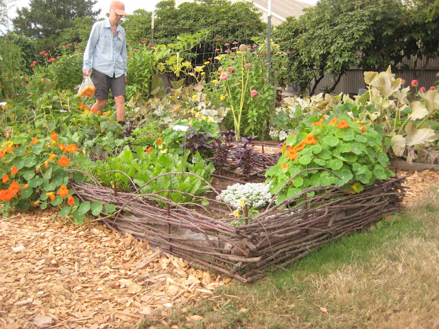 Master Gardener's Demonstration Garden: Veggies for Those in Need