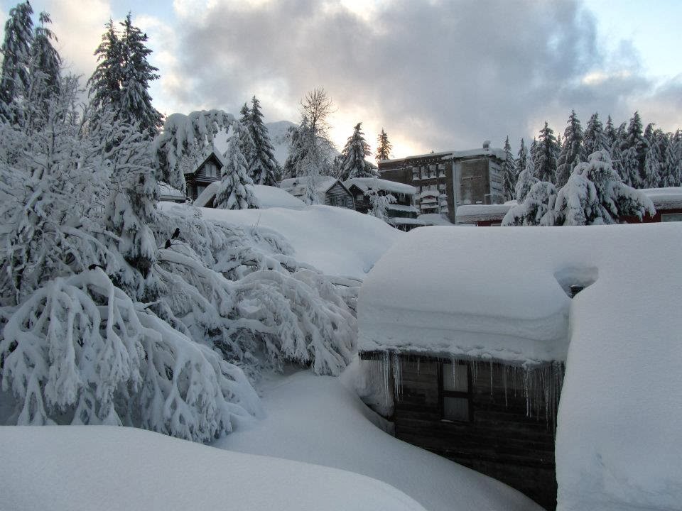 World Beautifull Places: Alaska Snow Information And Photos 2014