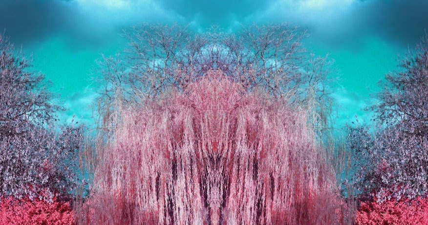 I See The World In Infrared - Funny Clips