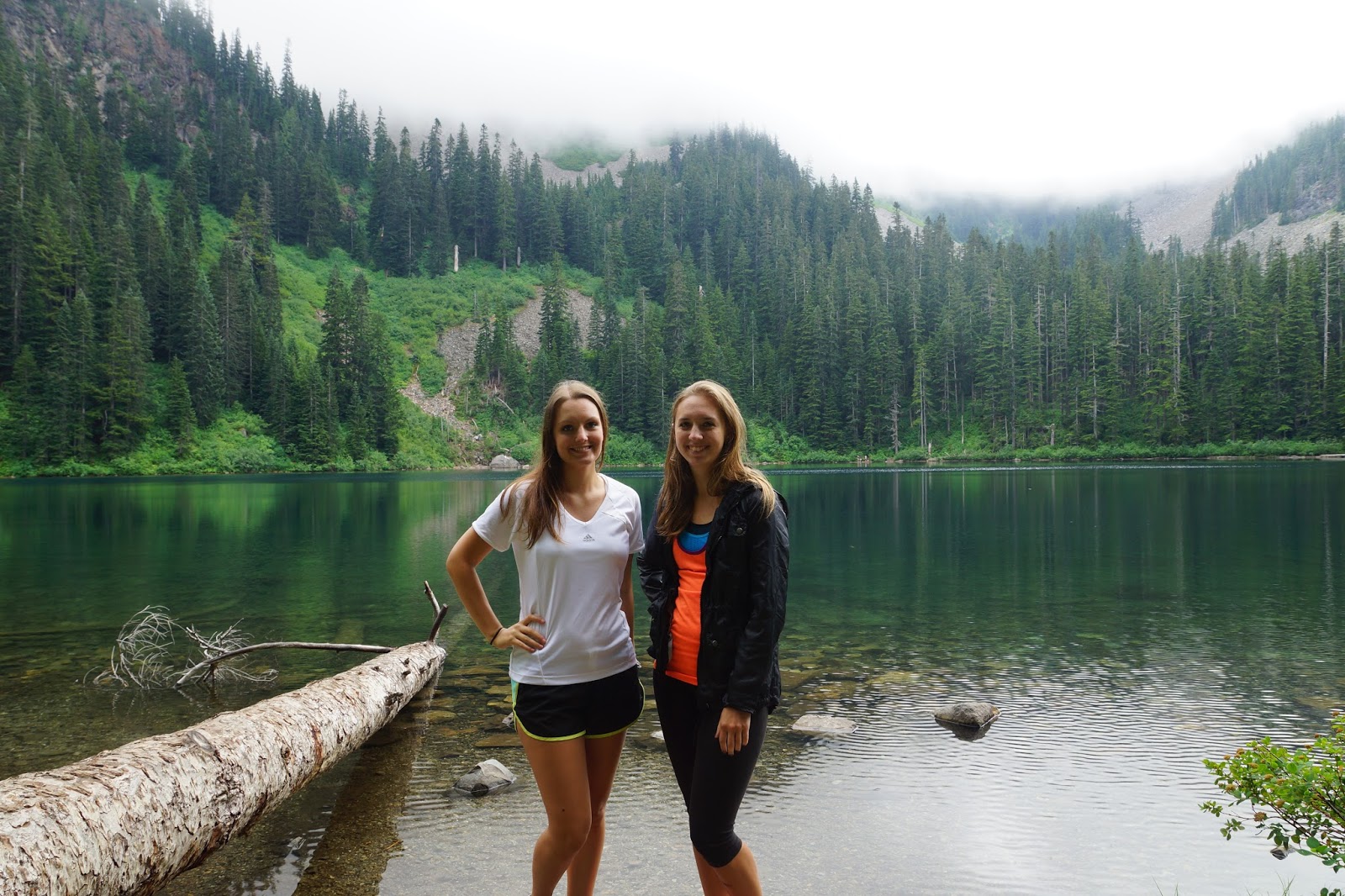 annette lake - teacups and cinnamon