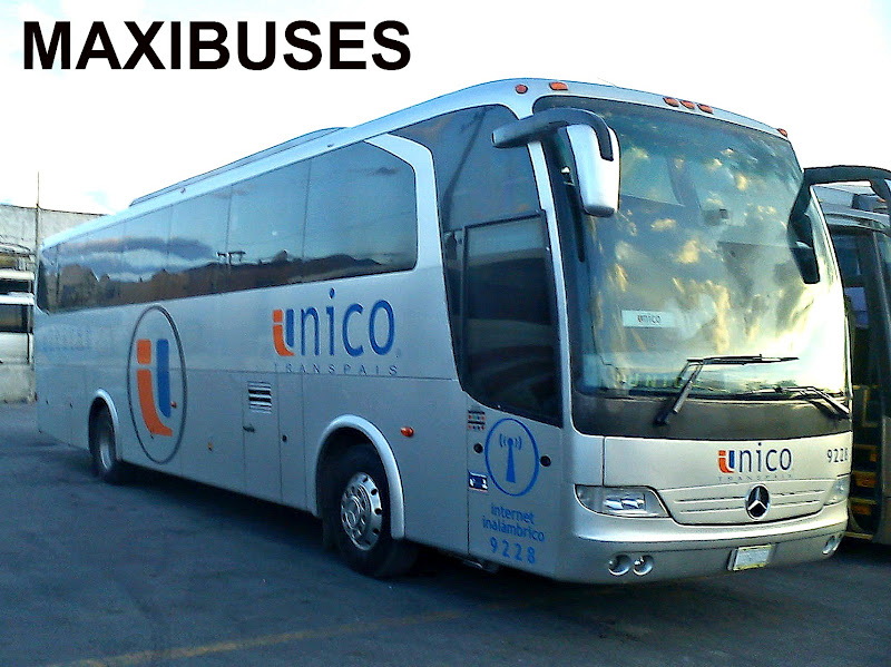 MAXIBUSES: ESPECIAL - TRANSPAÍS - UNICO