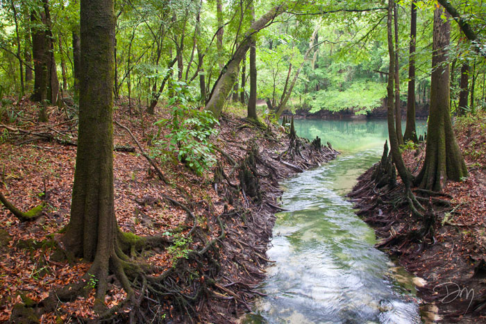 David's photo blog: Cave Painting