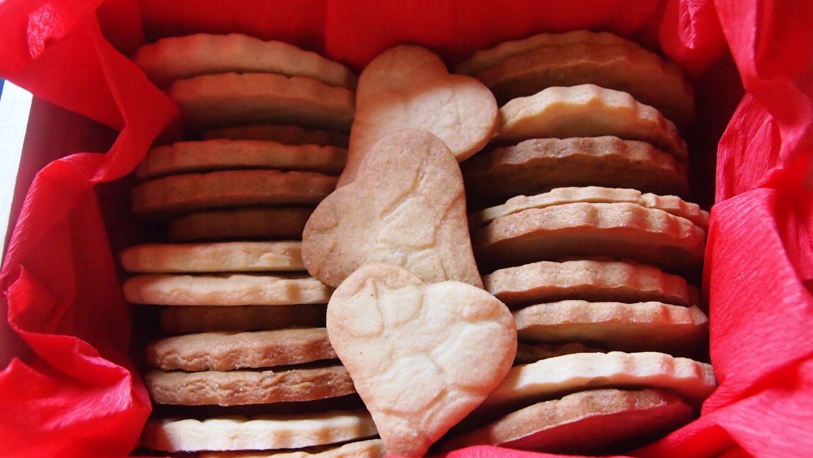 Galletas de vainilla con relieve ~ Andreíta come de todo