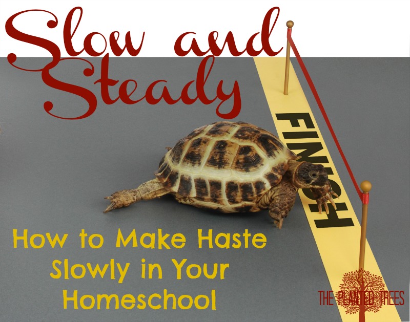 The Planted Trees: Slow and Steady in Your Homeschool