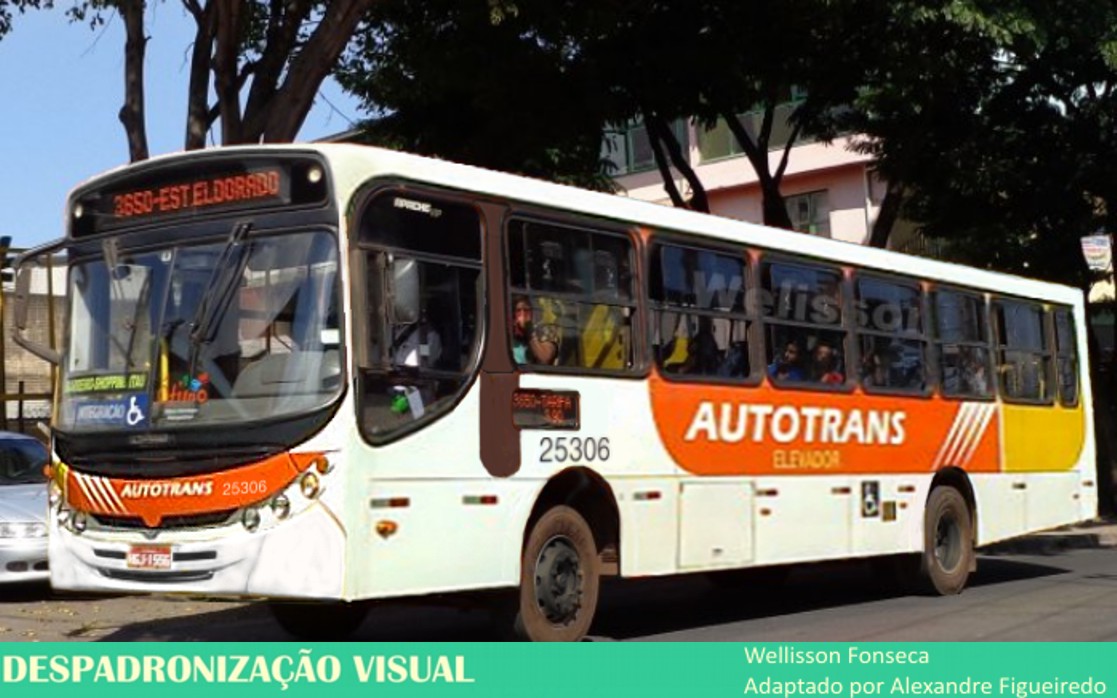 Despadronização Visual - A liberdade em cores - A Busologia do futuro ...