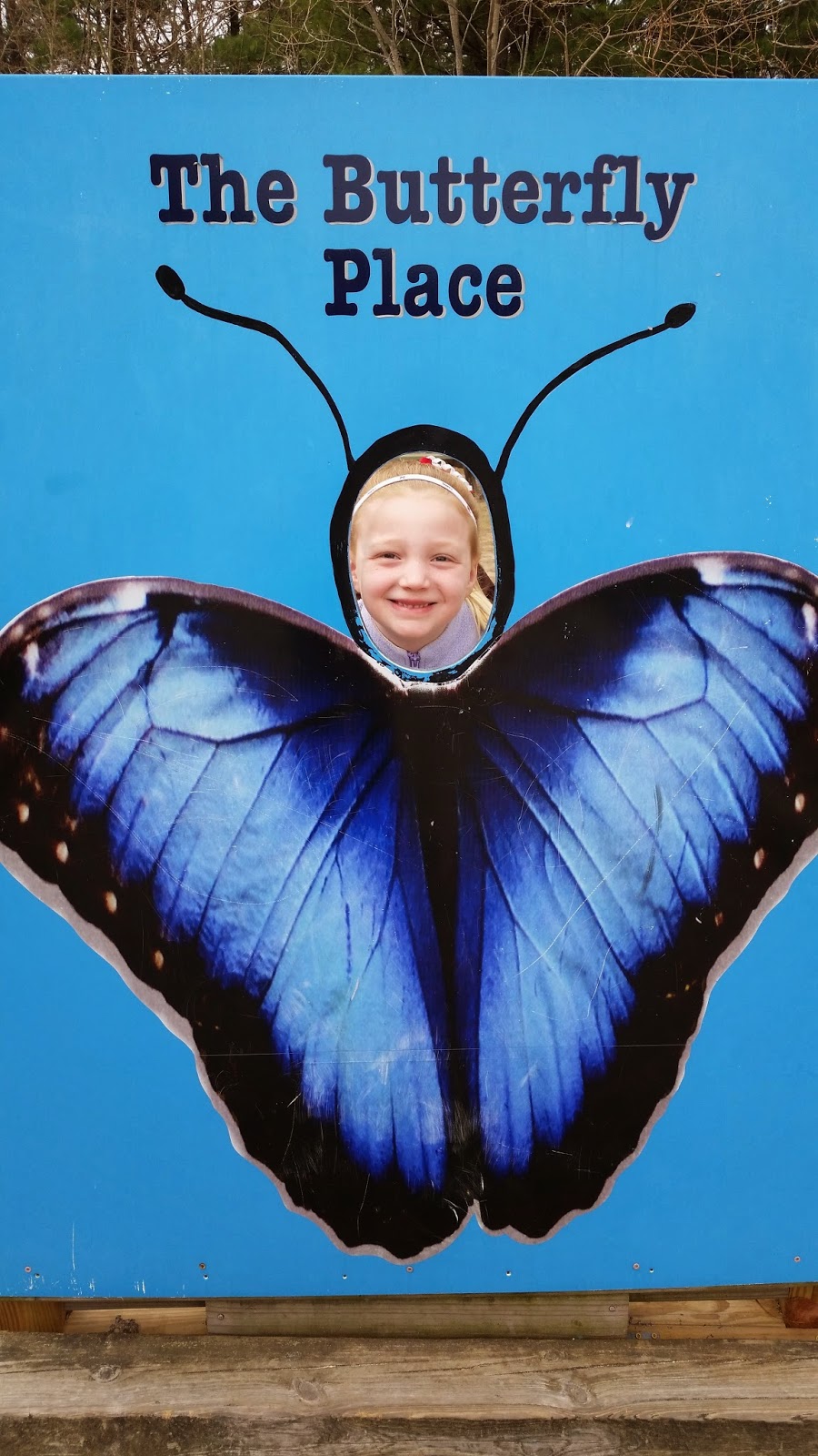 The Husker Family: The Butterfly Place