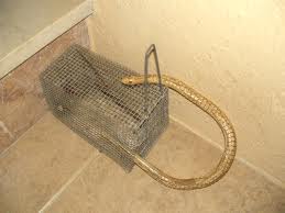 Letras con sentido: EL RATÓN Y LA RATONERA