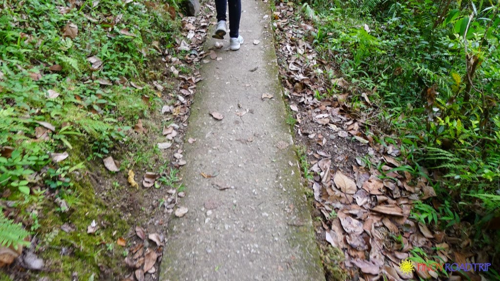 Pinoy Roadtrip: BANAUE: My Trek to the Batad Rice Terraces with Kids