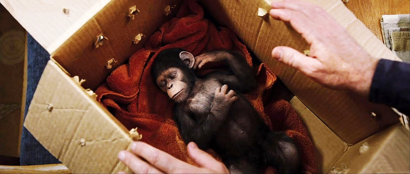 Little Big Blog: El origen del planeta de los simios.