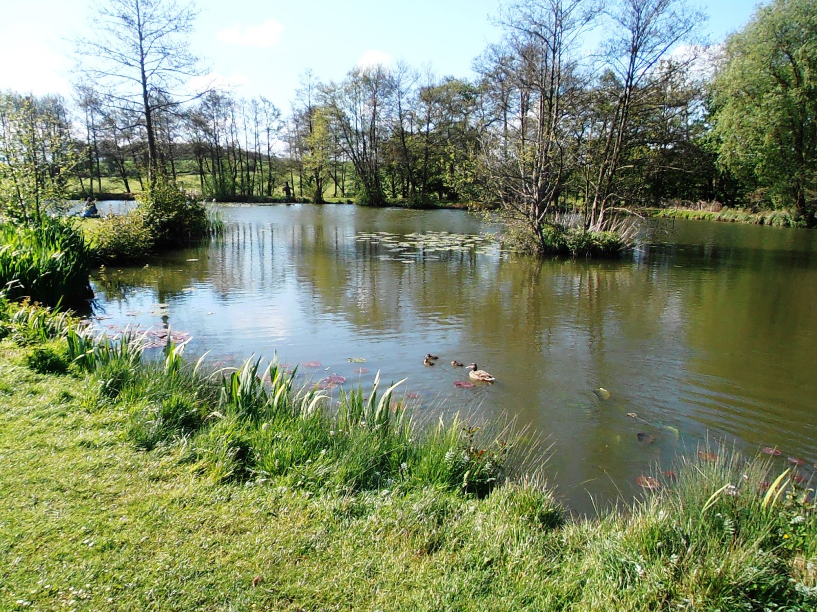 A Random Traveller: Lakeside Fishing & Camping, Onehouse, near ...