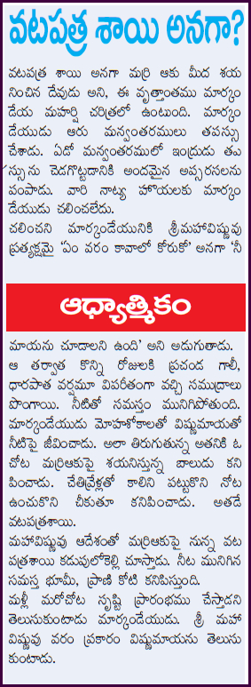 TELUGU WEB WORLD: WHAT IS THE MEANING OF VATA PATRA SAI ? IN TELUGU ANSWER