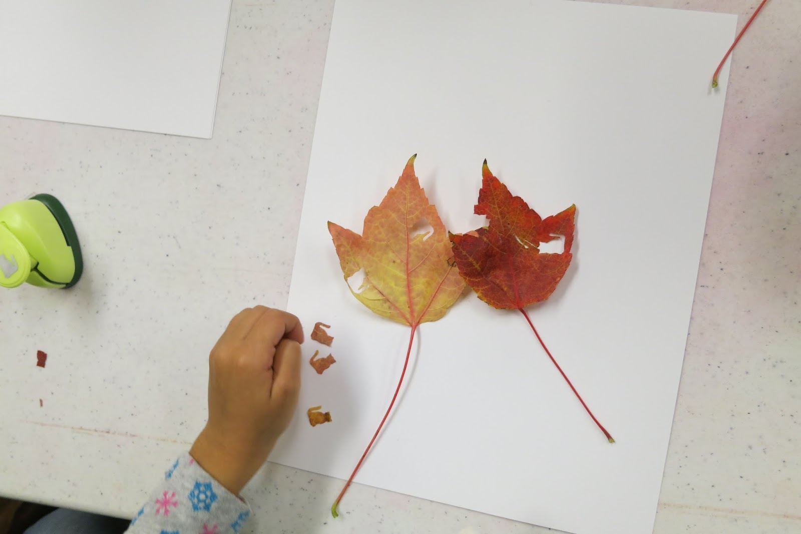 Toddler Art Class: Leaf Punching : library makers