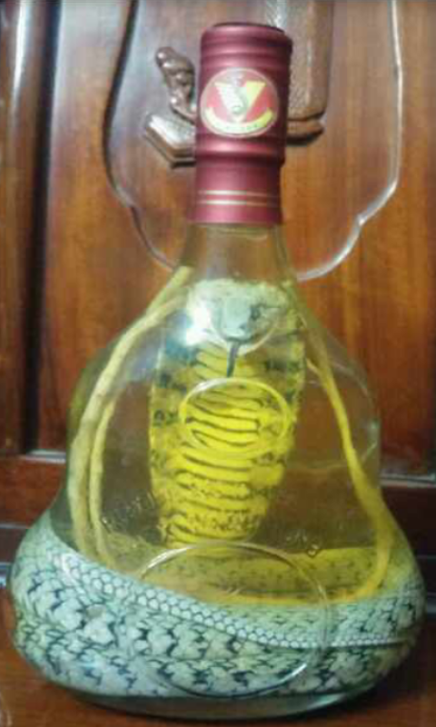 SNAKE WINE IN VIETNAM