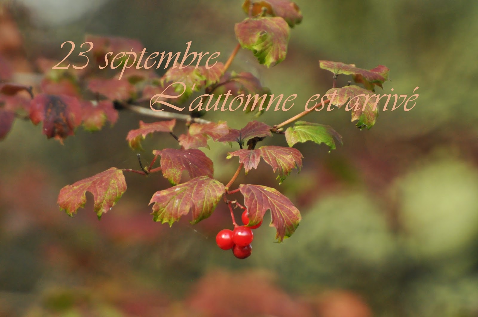 Un chemin au soleil: Premier jour d'automne