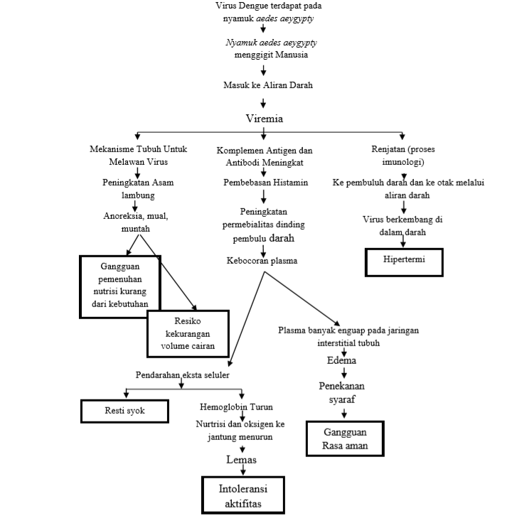 Laporan Pendahuluan Demam Berdarah Dengue Terbaru Nanda Nic Noc - karya mahasiswa nurse