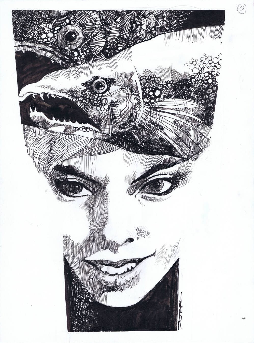 Sergio Toppi ( Ilustrador )