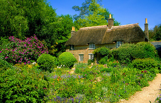 Fanny Love: Transvestite, Super-Model, Poet: Post-Traumatic Stress ...