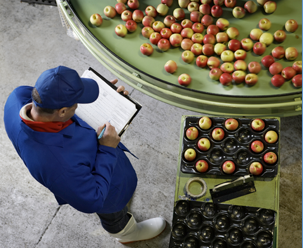 Formación Calidad y Seguridad Alimentaria: FOOD DEFENSE - Empleados