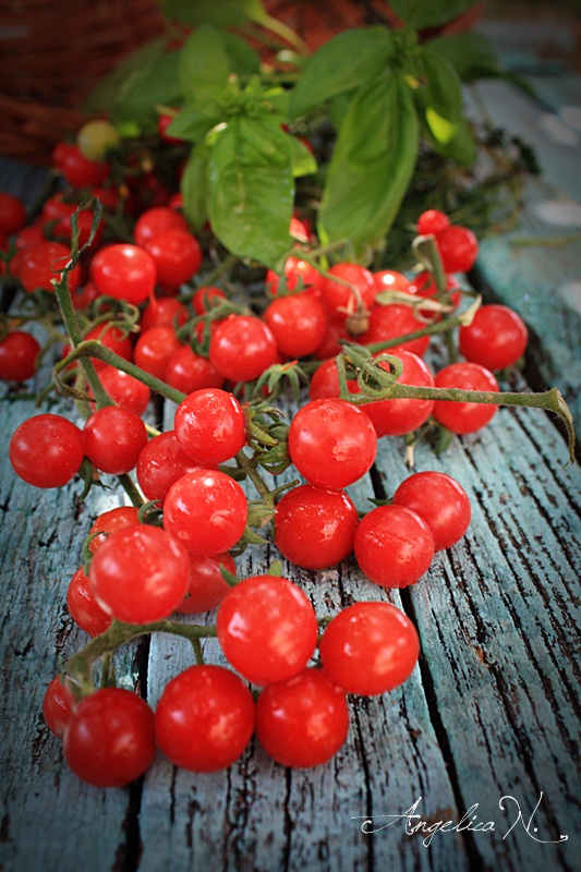 Angel's food: Rosii Cherry in sos de rosii