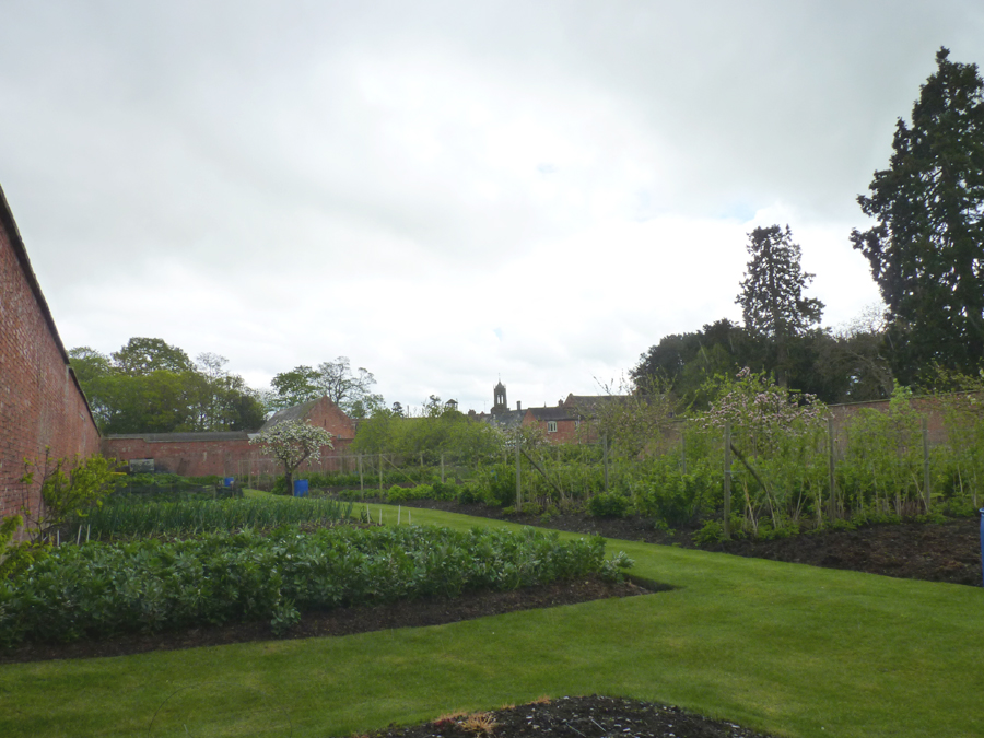 Middle of Nowhere: Brooding topiary at Longner Hall