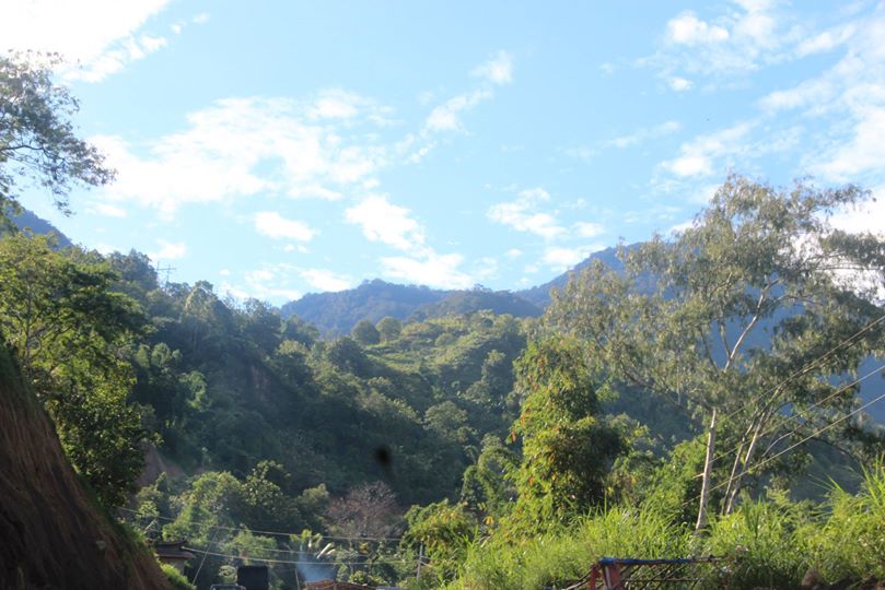 Christine Sells: Lake Agco Adventure, Definitely Nature's Best! (Lake ...