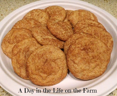 A Day in the Life on the Farm: Almond Snickerdoodles #ChristmasCookies