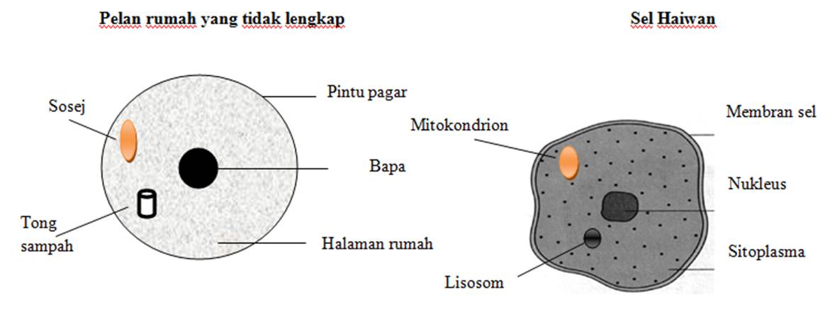 TEKNIK INOVATIF BIOLOGI: Bab 2: Struktur & Organisasi Sel (Sel Haiwan ...