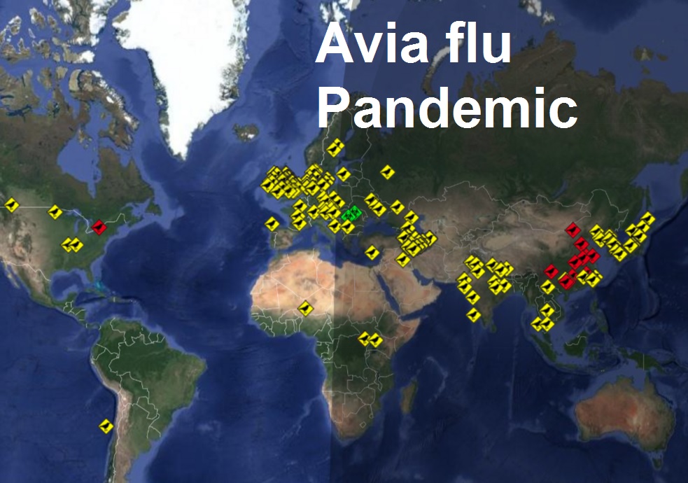 The Big Wobble : A new outbreak of A/H5N1 virus has been discovered in ...