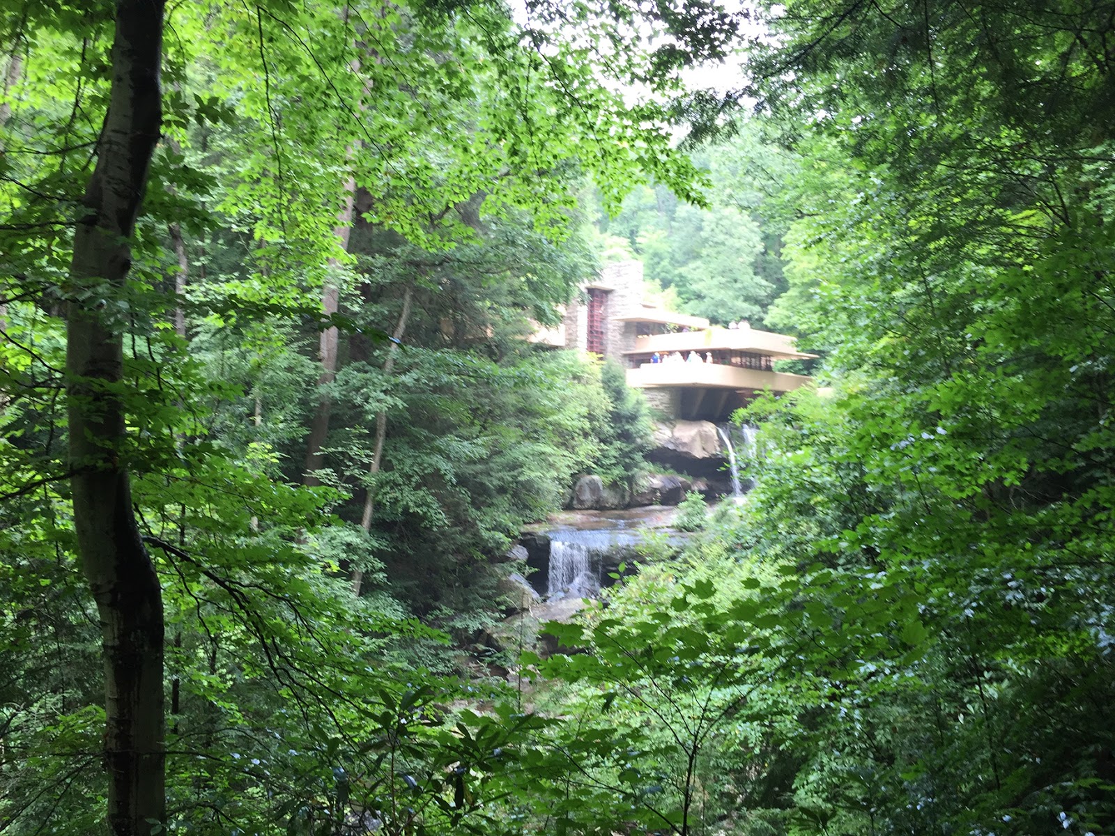 The Visual Artworker: Falling For Fallingwater, The Grand Tour Continues...