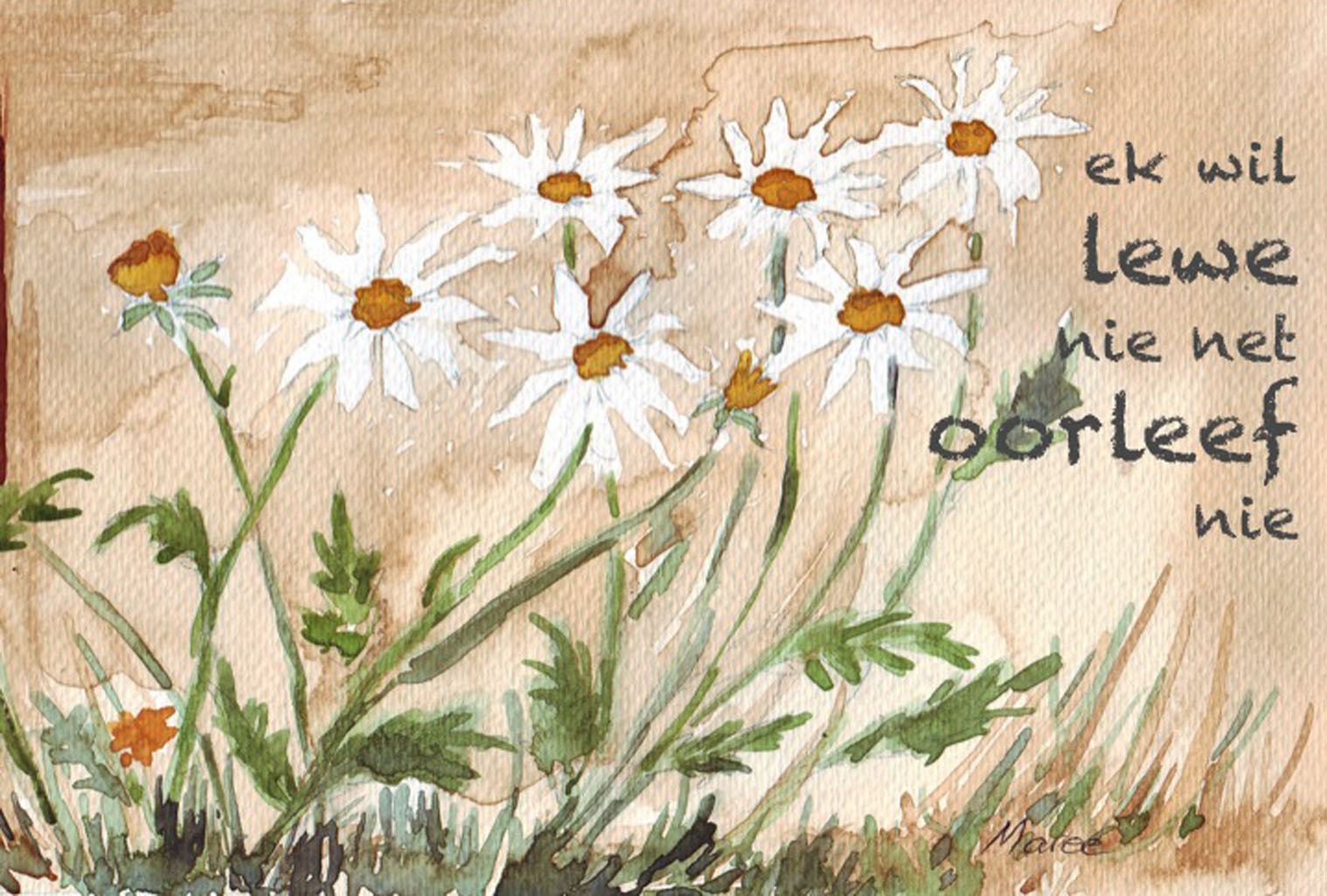 Afrikaanse Gedigte Oor Die Lewe - Een Lewe…Work in life | Stellenbosch ...