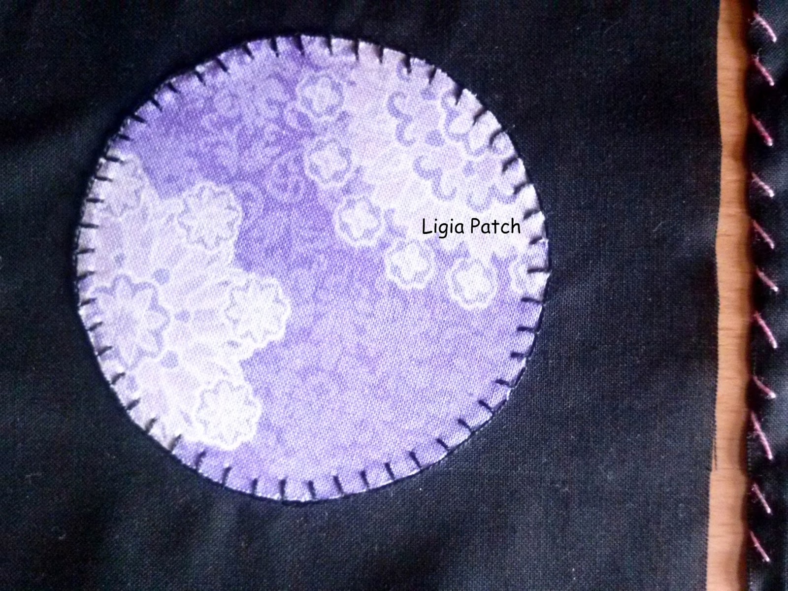 Ligia Patch: QUILT 365 (3)