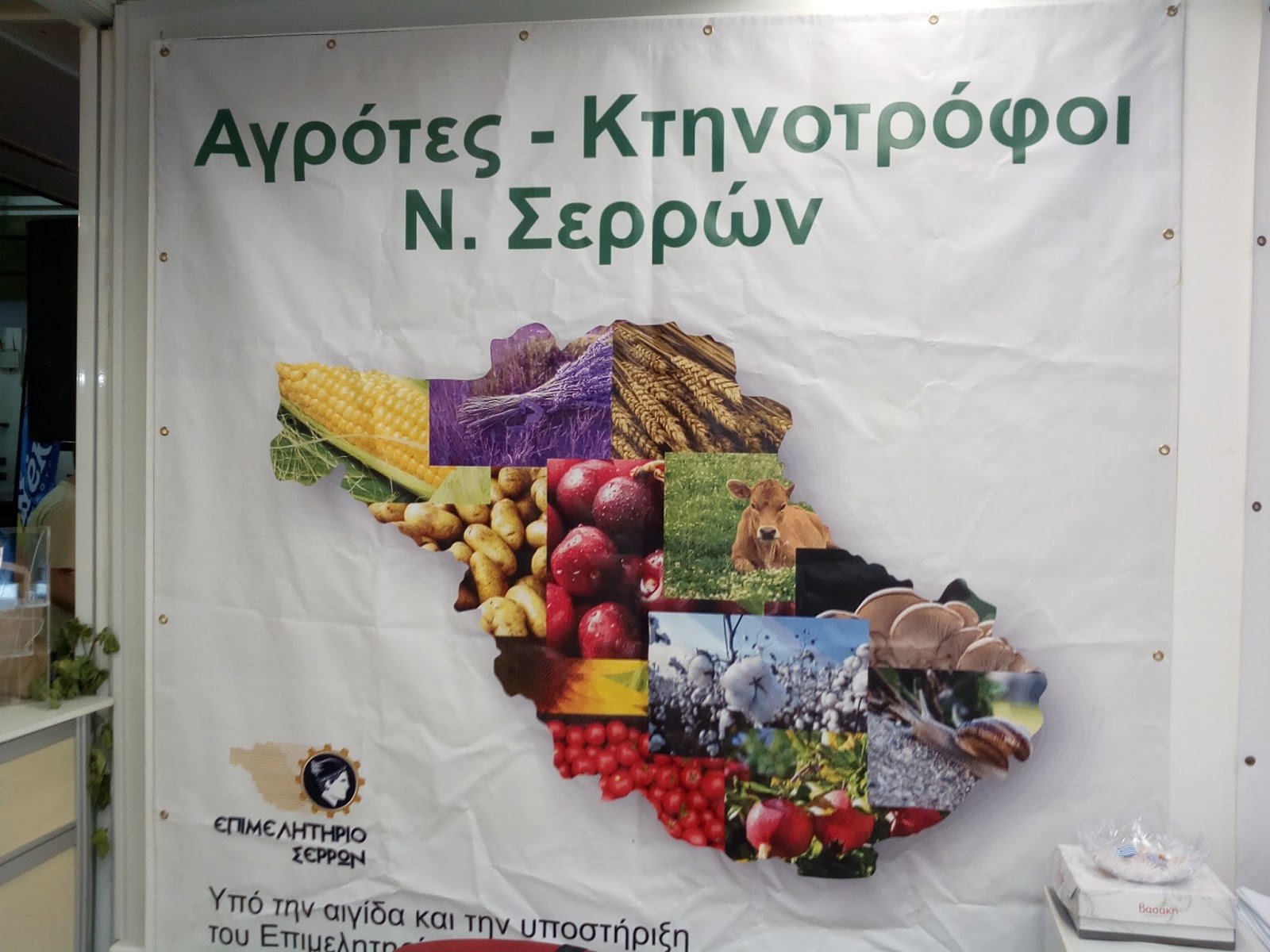 Η ΓΡΑΦΙΔΑ ΤΗΣ ΣΙΝΤΙΚΗΣ : Ο ΝΟΜΟΣ ΣΕΡΡΩΝ ΣΤΟ ΠΕΡΙΠΤΕΡΟ 12 ΤΗΣ 82ης Δ.Ε.Θ.