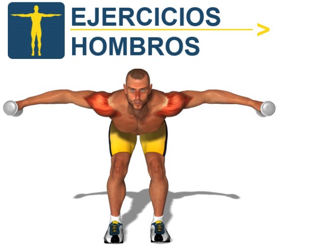 Majed Khalil Ejercicios Para Los Hombros