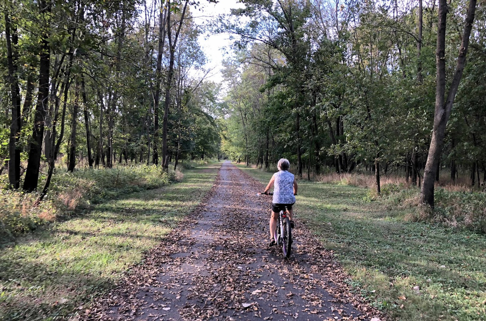Wandering His Wonders: Indicators in Decatur make us giggle