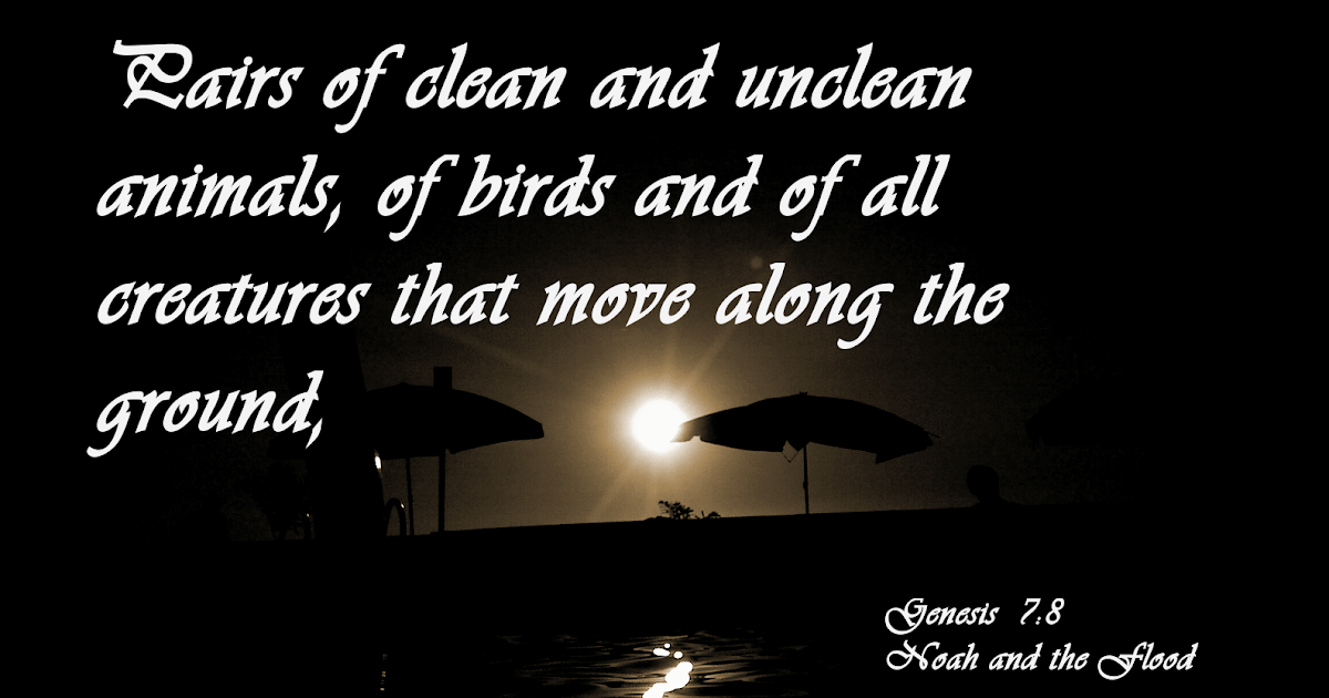 Genesis 7:8 Noah and the Flood