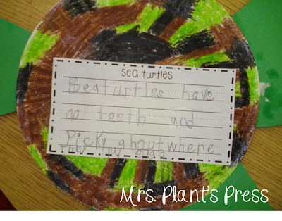 Ocean Fun! - Primary Press