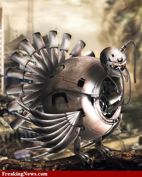 At Home Computer - Chico, CA: Happy Thanksgiving!