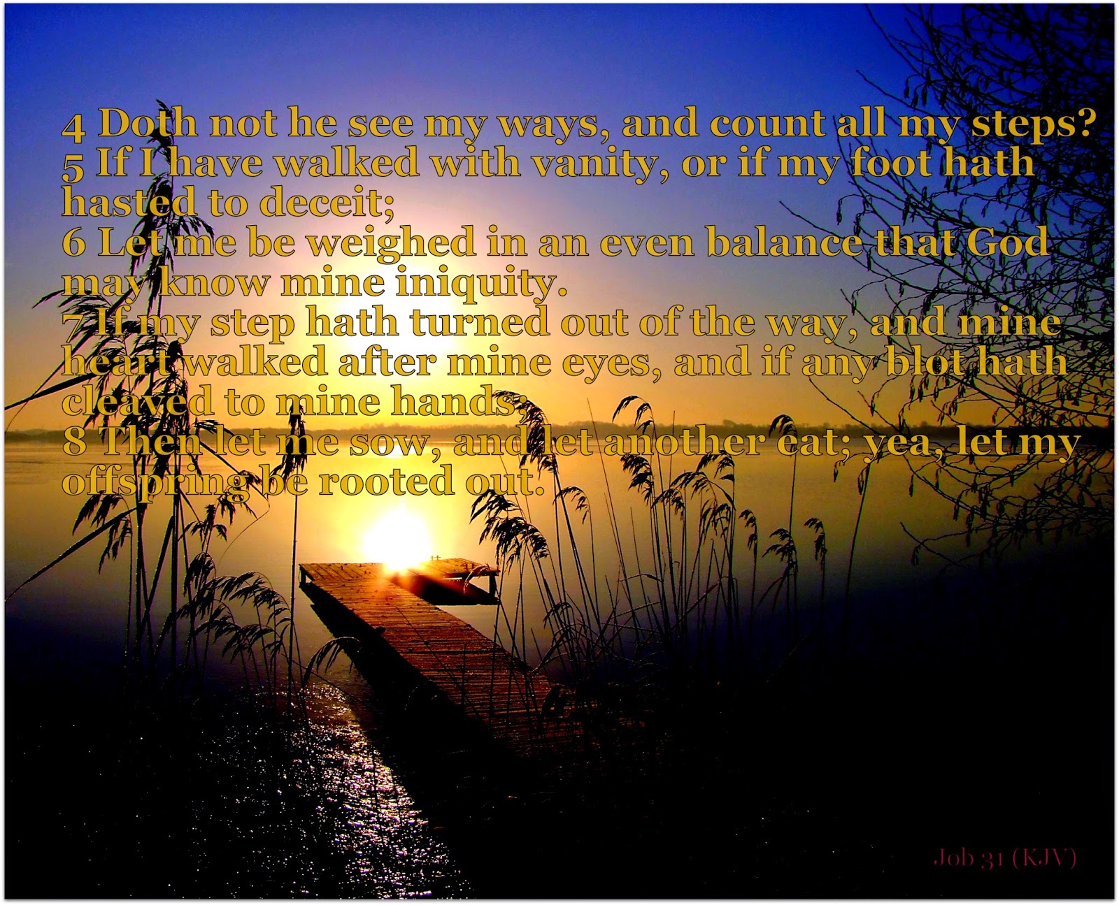 Red Pill Diaries: Job 31 (KJV)