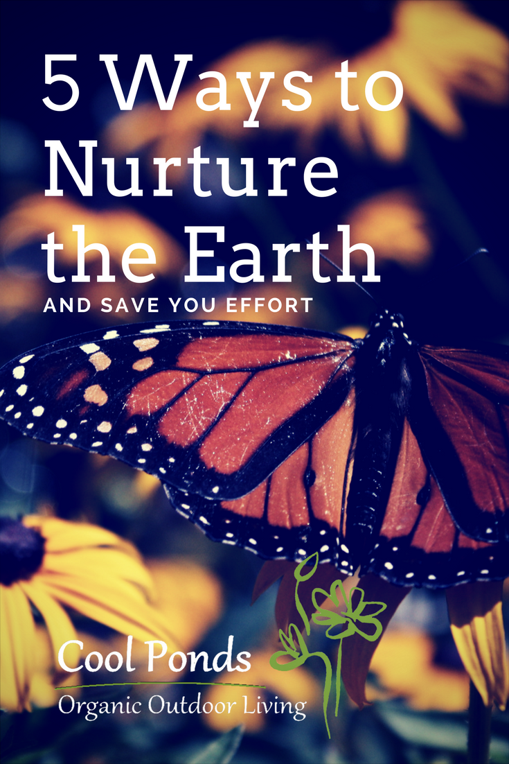 5 Ways to Nurture the Earth (And Save You Effort!)