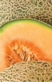 Fruit of the Month: Melons! / Eat Smart, Be Fit Maryland!