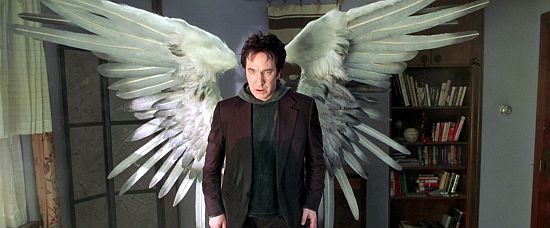 Τα φτερά του ήταν εντυπωσιακά.