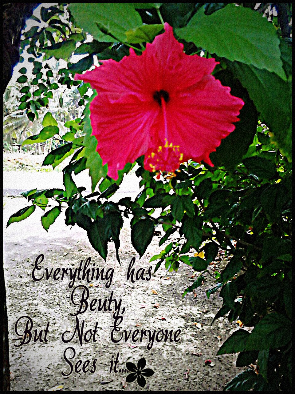 Sh Yn Design: Red Hibiscus