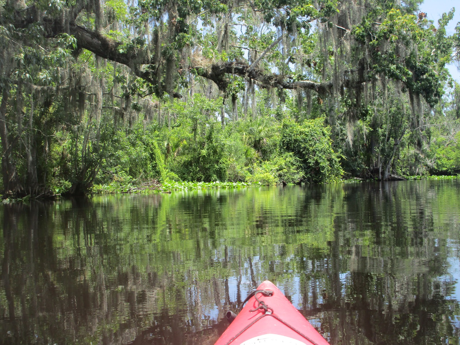 Dave's Yak Tales: Wekiva River and Blackwater Creek