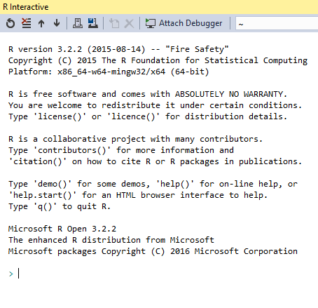 HodentekHelp: What is R Interactive and how do you load it?
