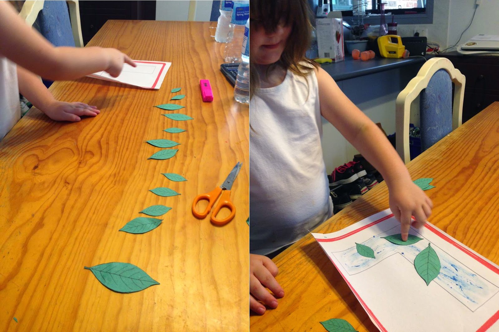 Musings of a Muddled Mum: Australian Animals Week - Preschool Homeschooling